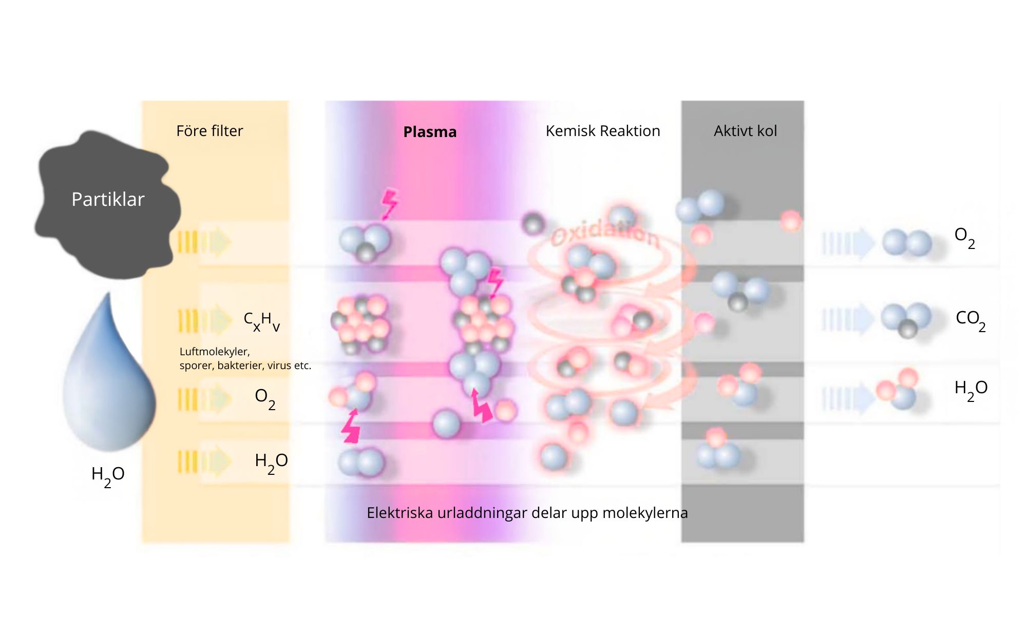 Plasma filter | Tovenco